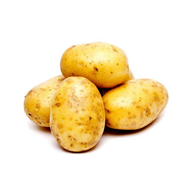 PATATES OGM : ON N’EN VOULONS PAS ! | Vigilance OGM