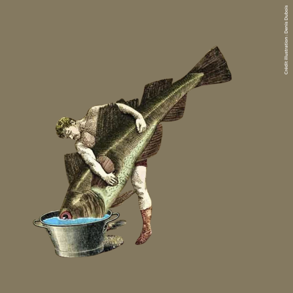 Aquabounty-essaie-de-noyer-le-poisson | Vigilance OGM